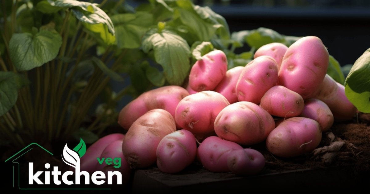 A Guide to Pink Vegetables: Growing Tips, Health Benefits